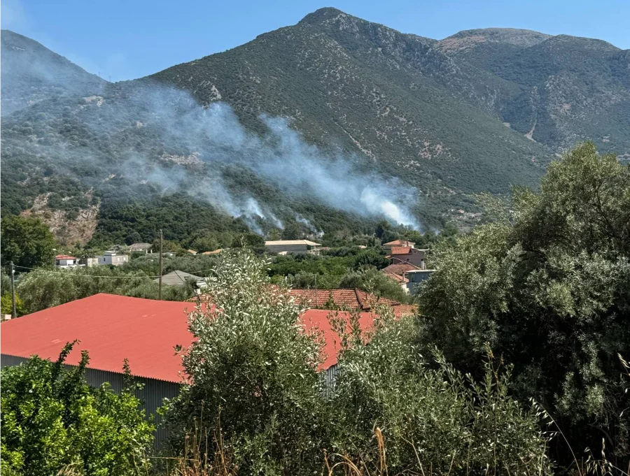Φωτιά και στην Γλυκή- Επιχειρούν εναέρια μέσα - EpirusPost