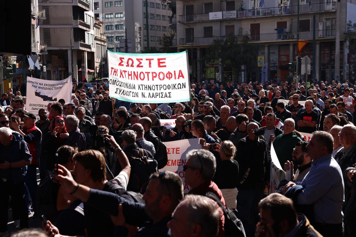 «Σώστε την κτηνοτροφία».. Στην Αθήνα η κραυγή των αγροτών της χώρας ...